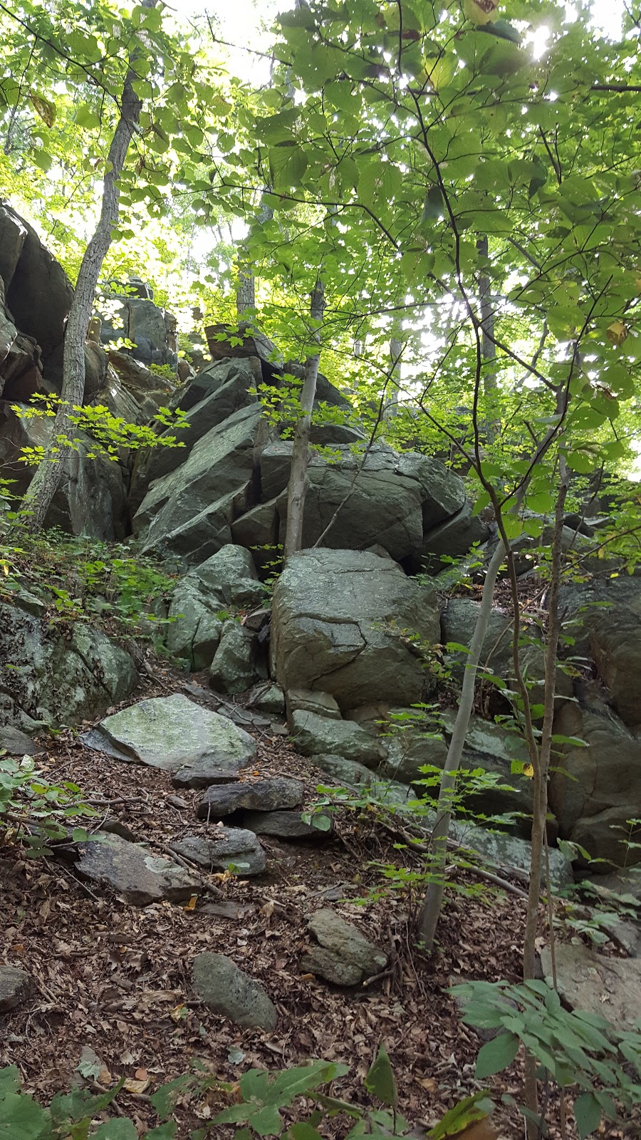 Hiking With Hammer: Weverton Cliff Hike