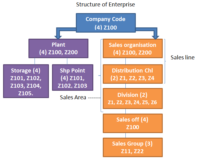 SAP SALES & DISTRIBUTION: Enterprise Structure