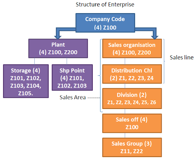 SAP SALES & DISTRIBUTION: Enterprise Structure