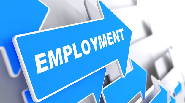 SST - Guide On Employment Services - =营商攻略=
