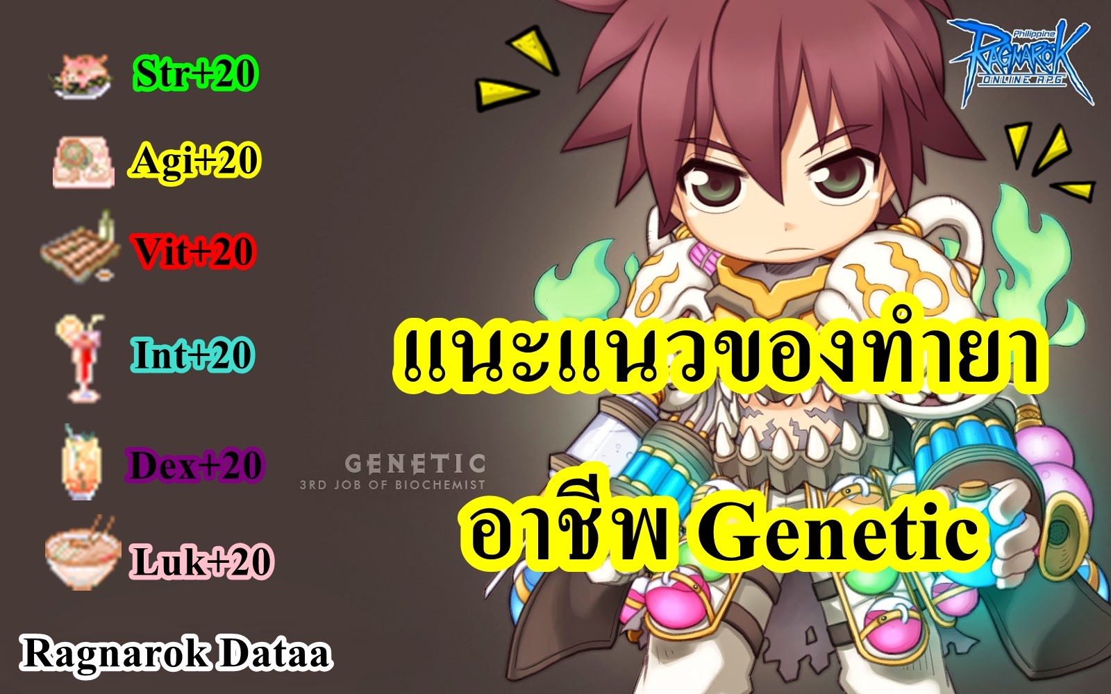 Ragnarok Online Database: รู้ก่อน รวยก่อนเห็นๆ ของทำยาอาชีพ Genetic ที่ ...