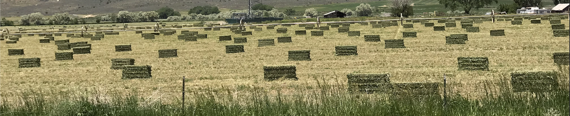 Confronting Science Contrarians: Matthew Schlesinger, is hungry for ...