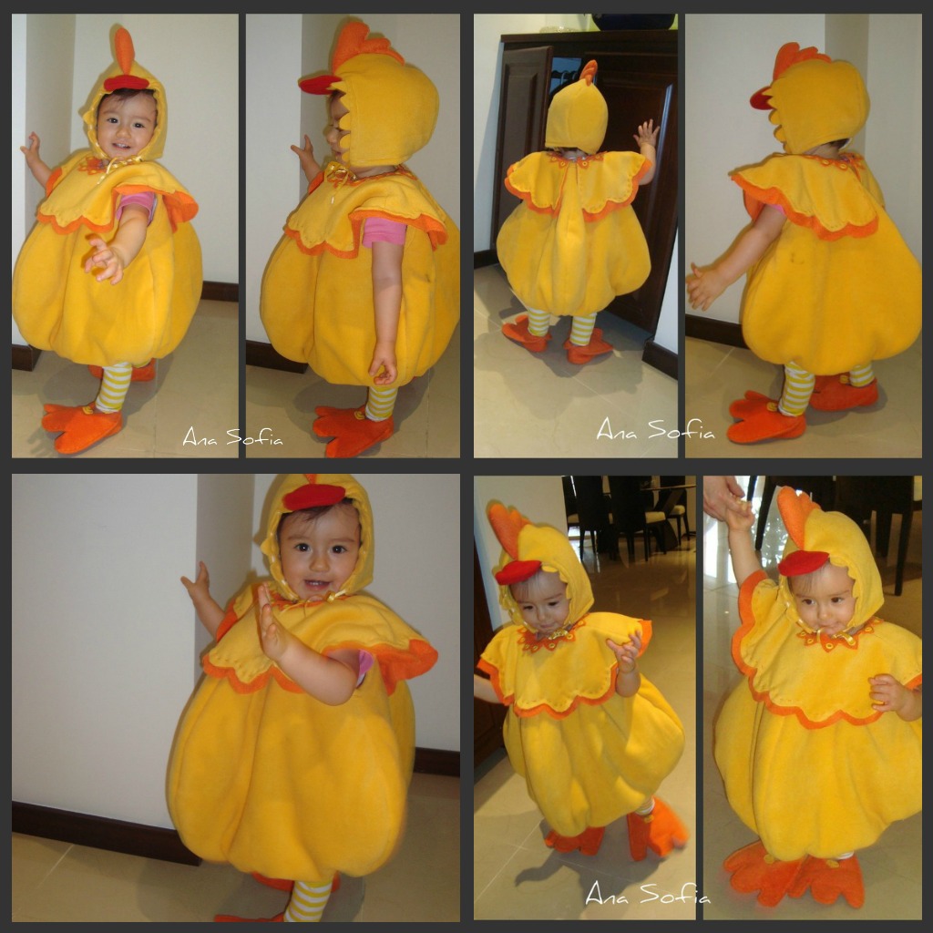 EL COSTURERO DE PALICHI: MI POLLITO