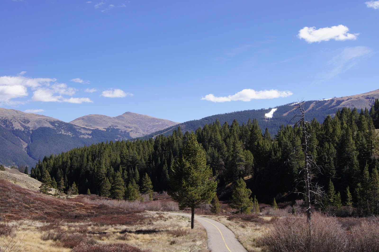 Travel Packed : Biking the Vail Pass