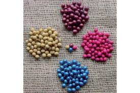 Agrobiodiversidad Peru: semillas comerciales en programas de biohuertos