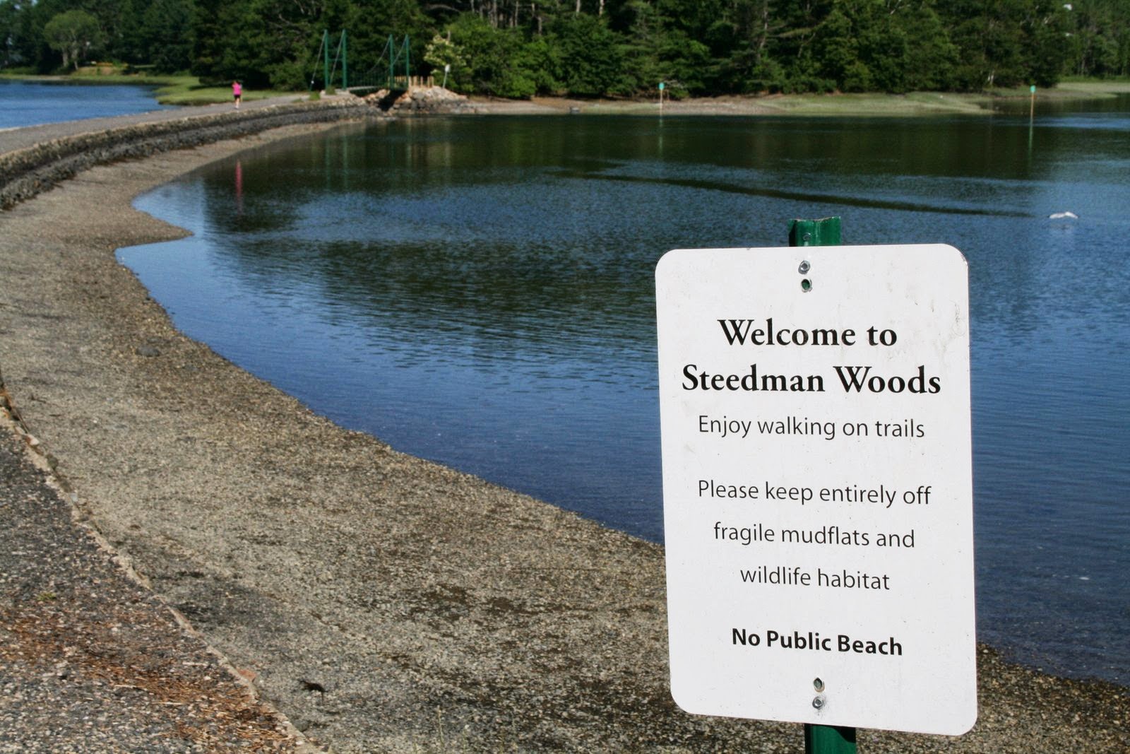 On The Loose To Climb A Mountain: Wiggly Bridge and Steedman Woods ...