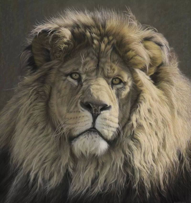 El Hurgador [Arte en la Red]: Gary Stinton [Pintura, Grandes felinos ...