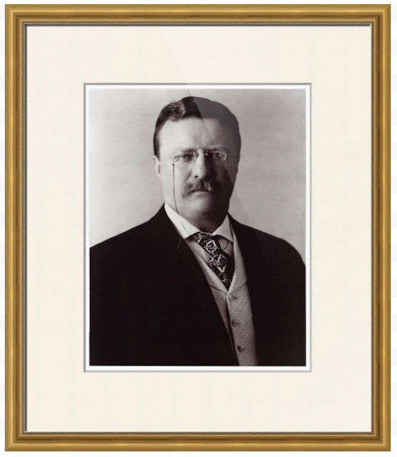 deeAuvil: Teddy Roosevelt Portrait on the Blue Blood's Frank Reagan ...