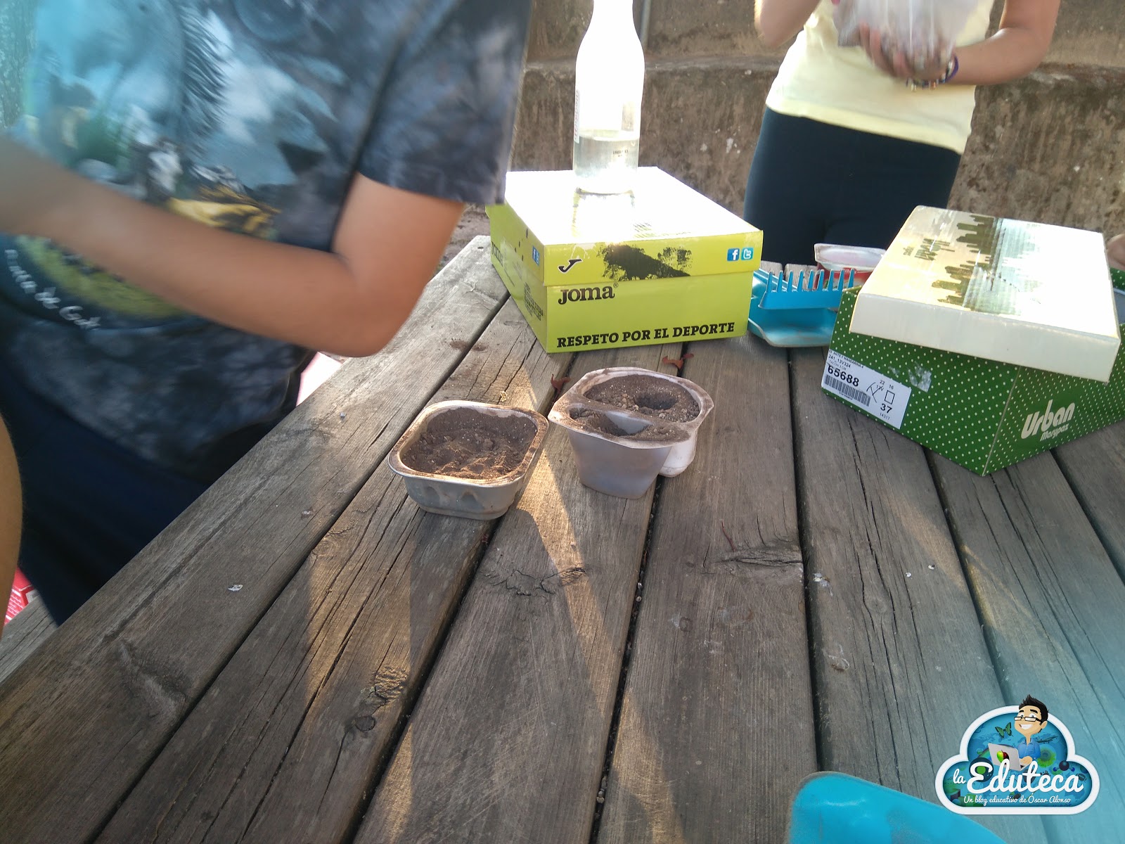 EXPERIENCIAS EN EL AULA | Experimentamos con las plantas y la luz ~ La ...