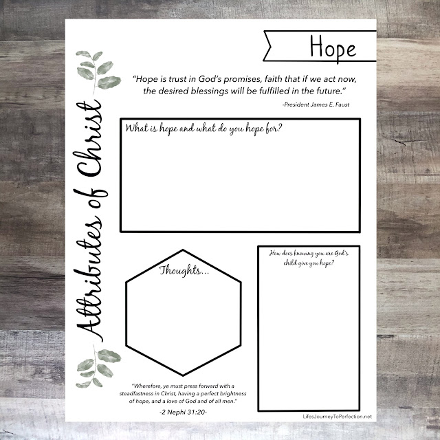 Life's Journey To Perfection: Spiritual Goal, A Year of Coming Unto ...