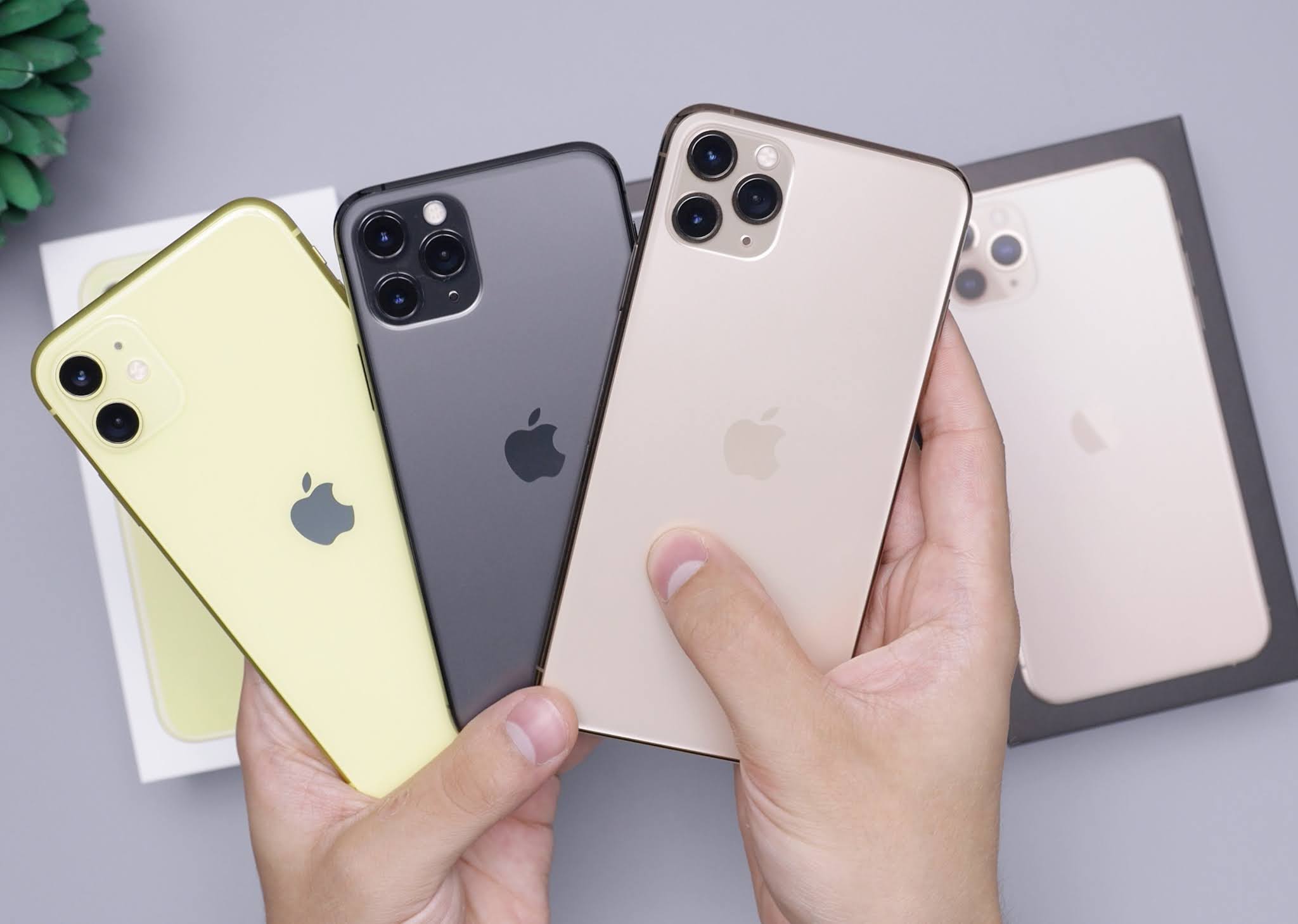 Lebih Baik Pilih iPhone Second atau Refurbished? Mana yang Awet? | PUKEVA