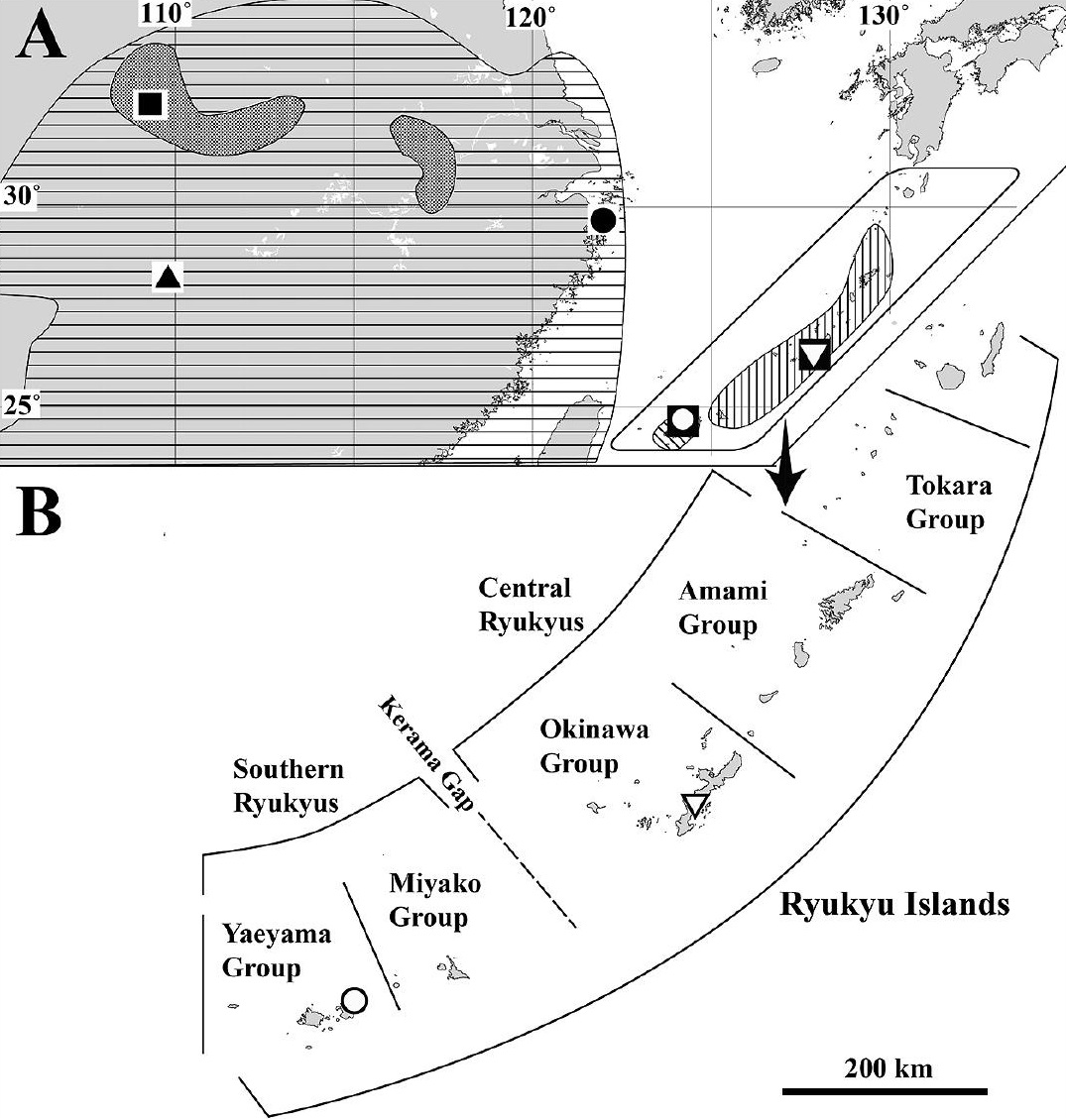 Species New to Science: [Herpetology • 2020] Microhyla kuramotoi ...