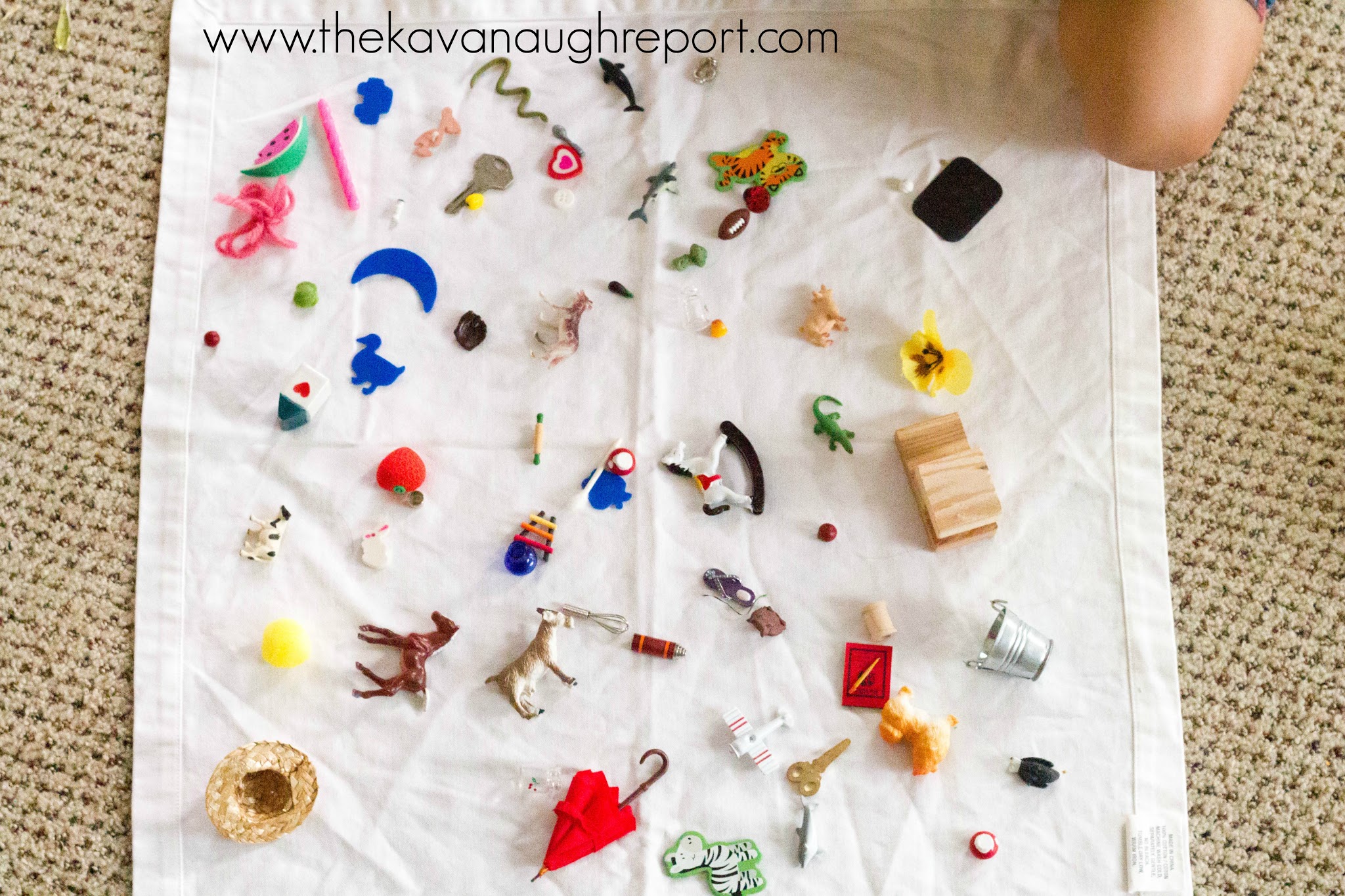 DIY Montessori I-Spy Game