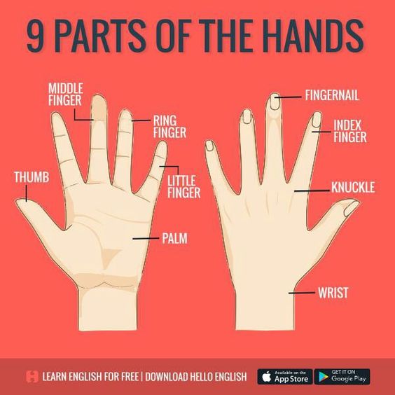 เรียนภาษาอังกฤษ ความรู้ภาษาอังกฤษ ทำอย่างไรให้เก่งอังกฤษ Lingo Think in ...