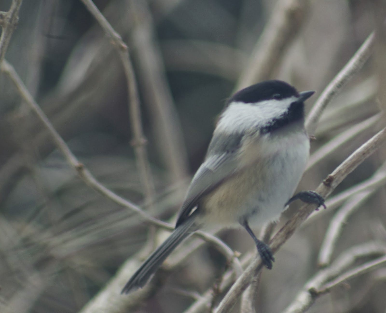 Hidden Valley RV, a Little Piece of Country in San Antonio: An Activity ...