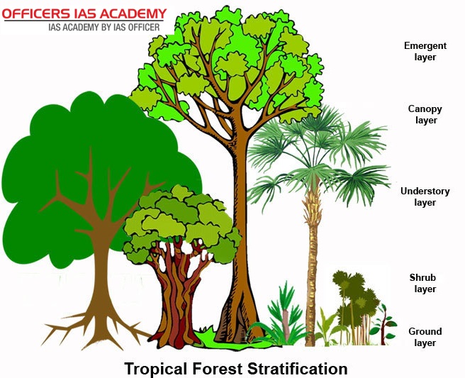 IAS Preparation- simplified like never before!: PRINCIPLES OF ECOLOGY ...