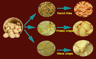 Frozen French Fries Production Process