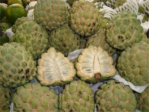 ALIMENTE-SE COM SABEDORIA!: FRUTA-DO-CONDE FAZ BEM PARA QUÊ?