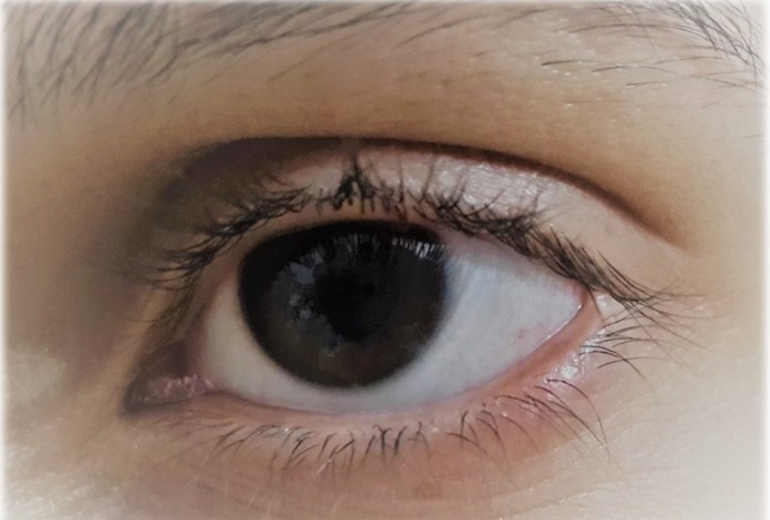 Psychology And Life Structure And Function Of Human Eye psychology-and-life-structure-and-function-of-human-eye