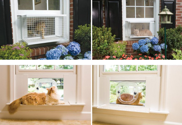 Pergelator: Window Box for Cats, Part 2