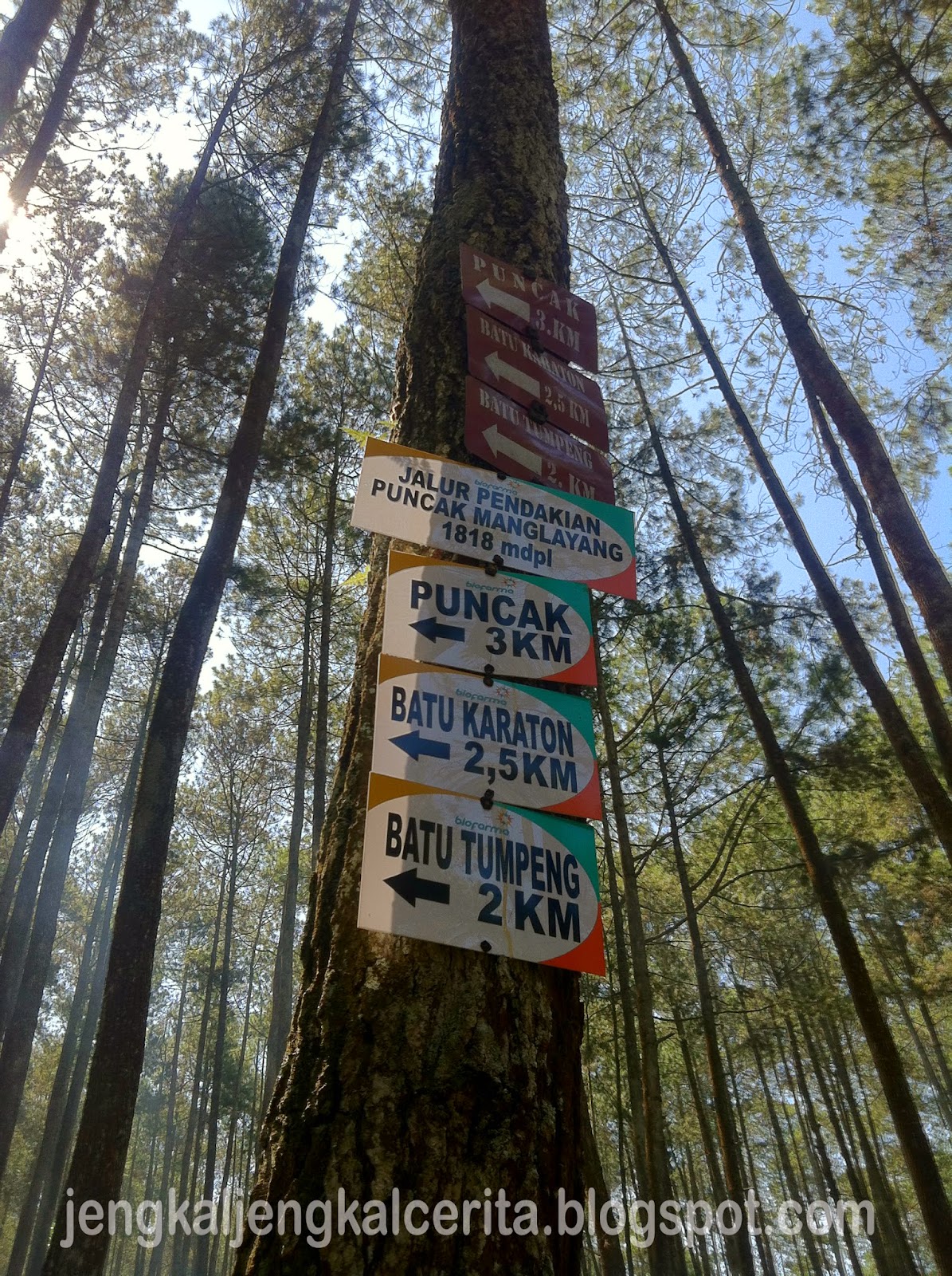 jengkaljengkalcerita: CAMPING DI BATU KUDA, MANGLAYANG, BANDUNG