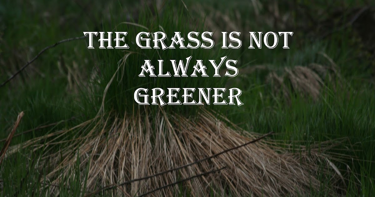 Live Life: The Grass Is Not Always Greener
