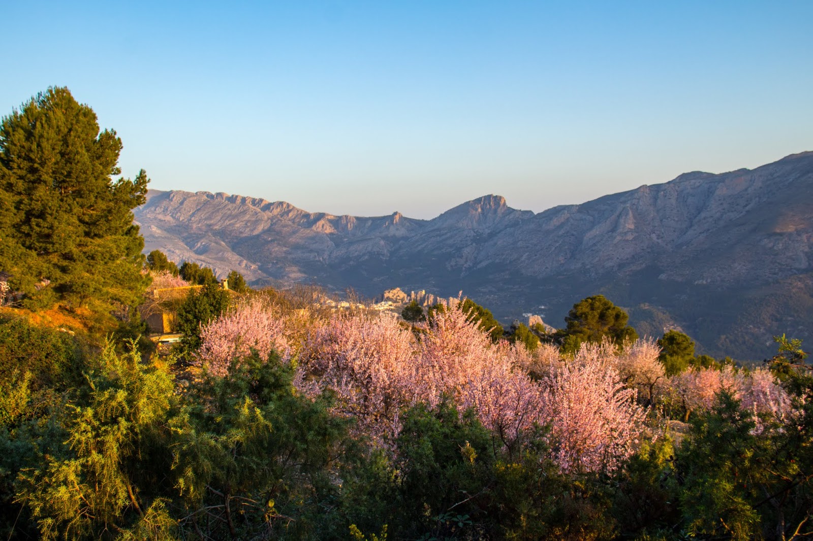 EL MADALLAR, EL PENYÓ ROC Y EL PENYÓ MULERO, DESDE LA FONT DEL PI.