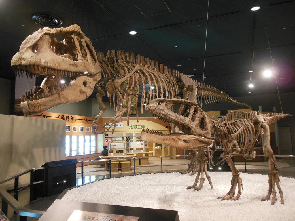 My Prehistoric Saga: What If: Are Giganotosaurus and Mapusaurus the ...