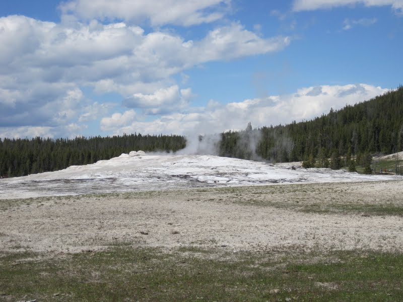 The Scallywagon: YOU SKIN GRIZ', PILGRIM? Yellowstone National Park