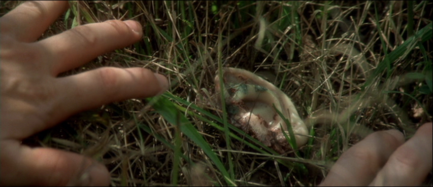 Radiator Heaven: Blue Velvet
