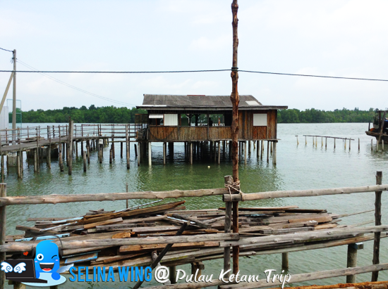 My Sight-seeing to Pulau Ketam - A Trip Day of Crab Island, Malaysia