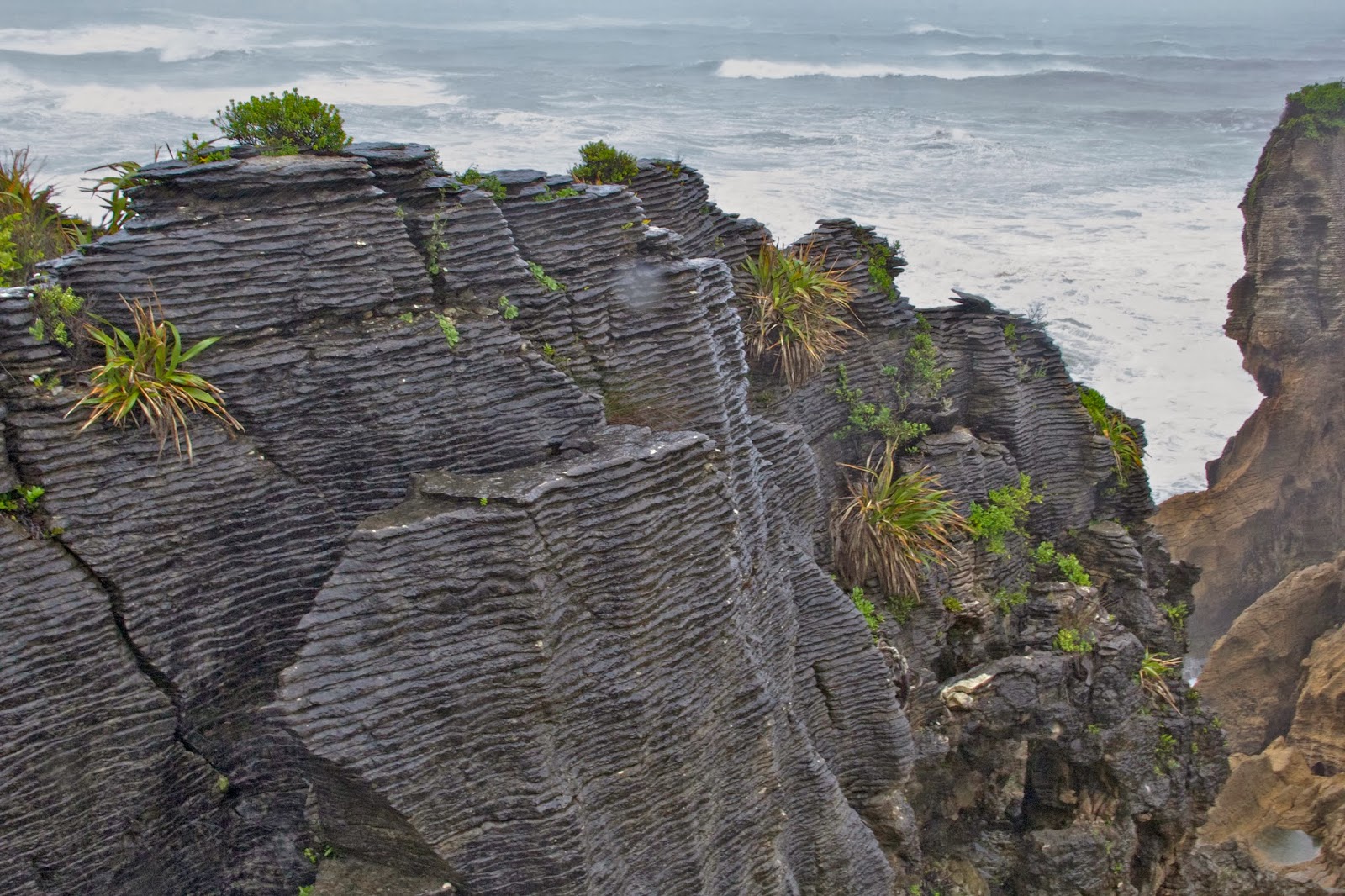 Pickling the Unbounded Kiwi
