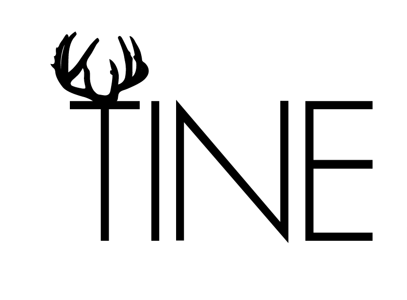 Notes.: logo development: the three logos