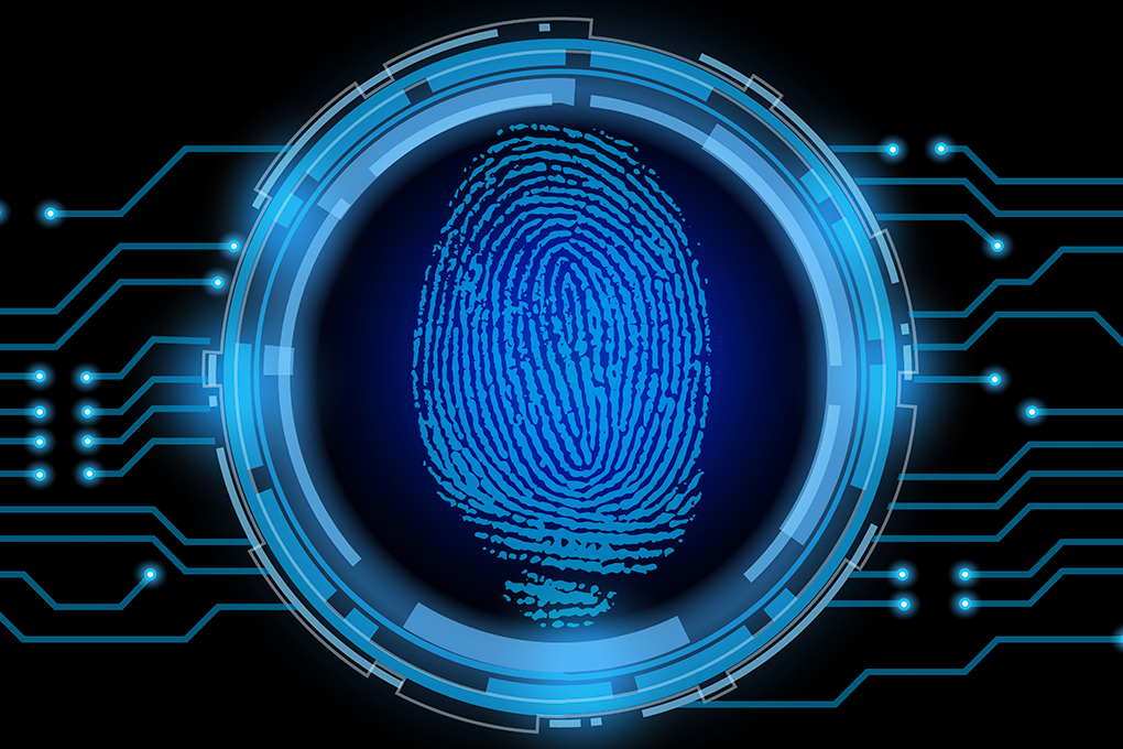 Red de Trabajo: HUELLA DIGITAL