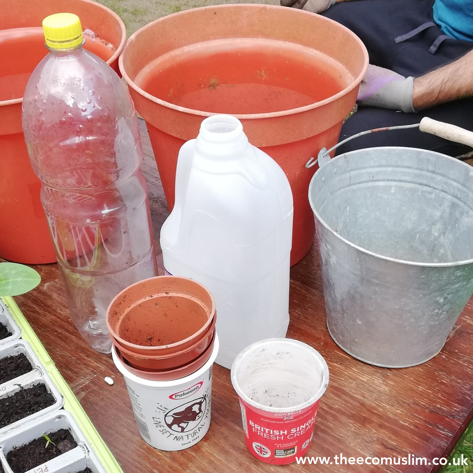 DIY: Reusing Milk Bottles As Plant Pots | @TheEcoMuslim