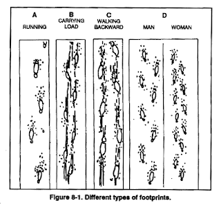 Forensic Science: Part IV: Footprinting