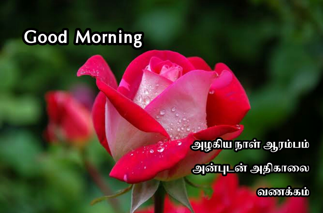 Kavithaicrush: Love Kavithai | Pirivu Kavithai Images In Tamil