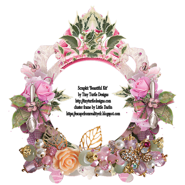 Escape From Reality Blog: FTU Cluster Frames 'Beautiful' TTD