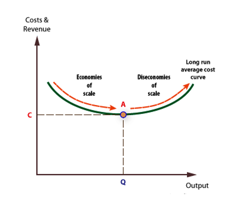 Designing Brilliance: Allocative and Productive Inefficiency