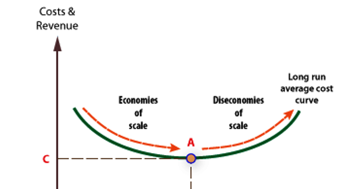 Designing Brilliance: Allocative and Productive Inefficiency