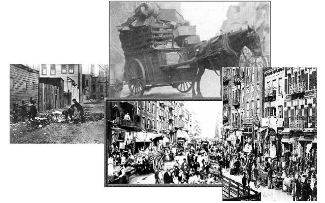 50 Days of Growing Food: The New Progressive Era?