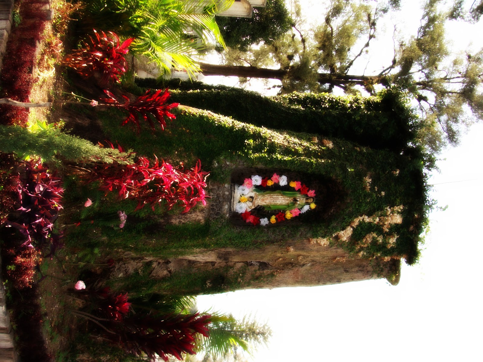 GALERIA FOTOGRAFICA DE ORIZABA,VERACRUZ, MEXICO.: Cementerio de Orizaba ...