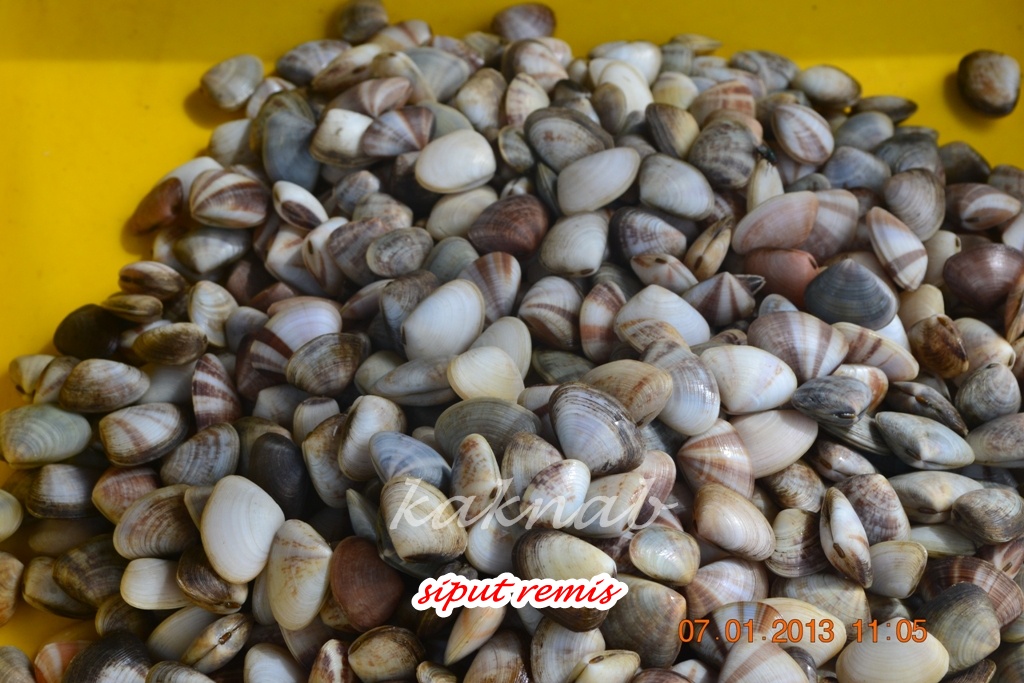 jom pancing lepak tepi laut: PANTAI REMIS, SELANGOR