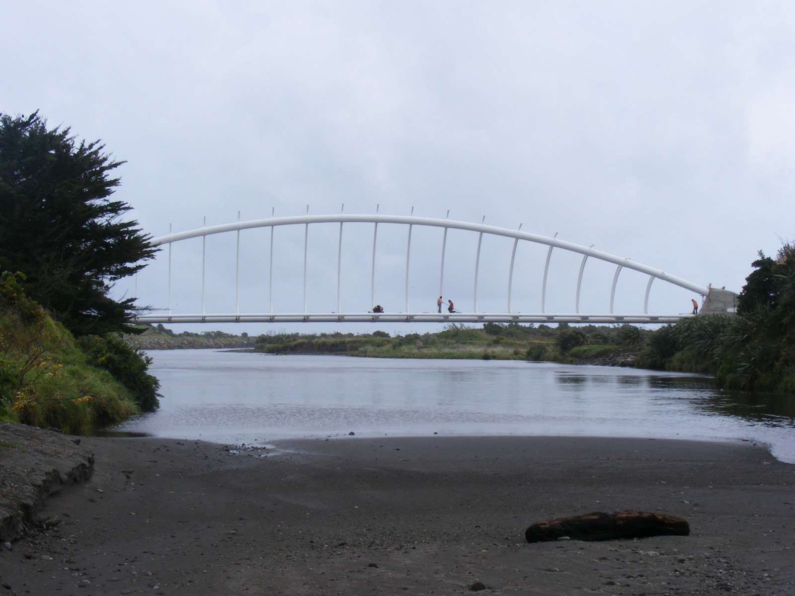 photographing New Zealand: Te Rewa Rewa Bridge