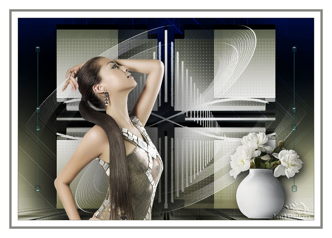 PSP Design: Lica Cida