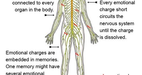 Energy and Intention: Emotional charges in the nervous system