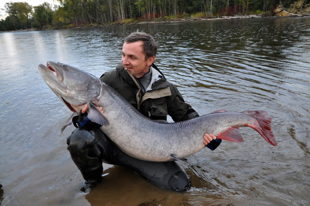 Chavanga Fish Blog: Khabarovsk Taimen fishing tour