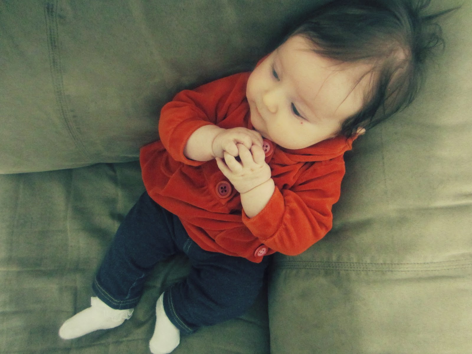 Rachel Jaybird: renniebird... three months (a wee bit late)