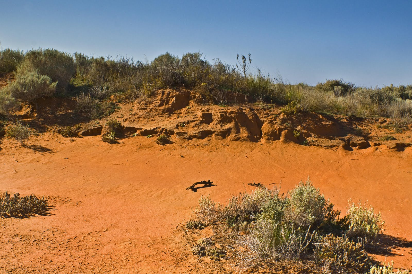BigRedBusTouringCo.com: Moorook to Perry Sand Dunes