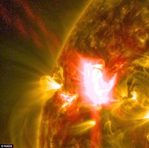 Alam Mengembang Jadi Guru: Video Suar Surya yang Anggun